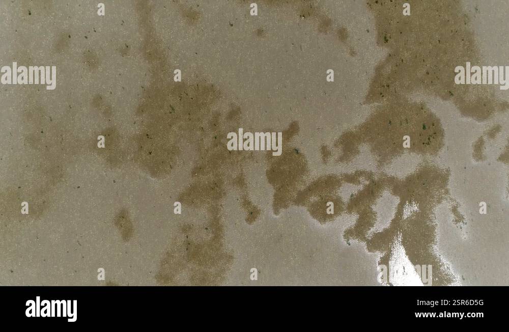 Toad strangler Stock Videos & Footage - HD and 4K Video Clips - Alamy