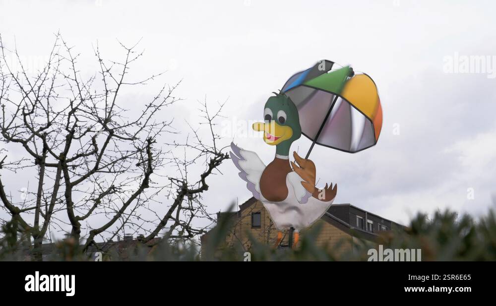 Spinning duck Stock Videos & Footage - HD and 4K Video Clips - Alamy