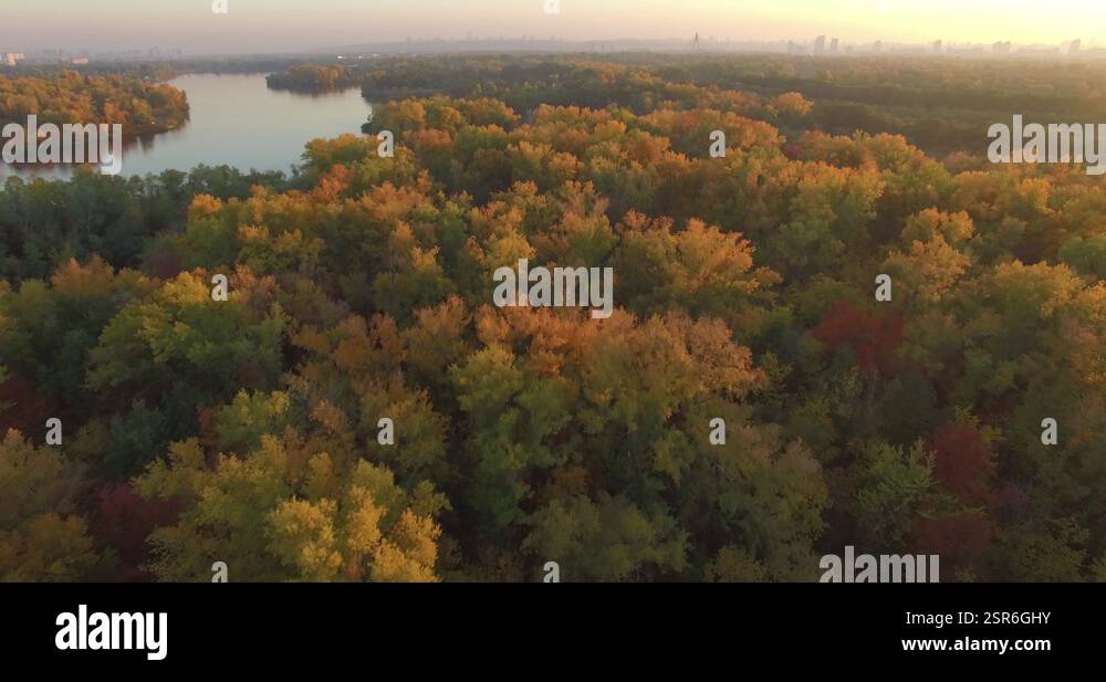 Flying over beautiful autumn river,forest and lake.Drone landscape on ...