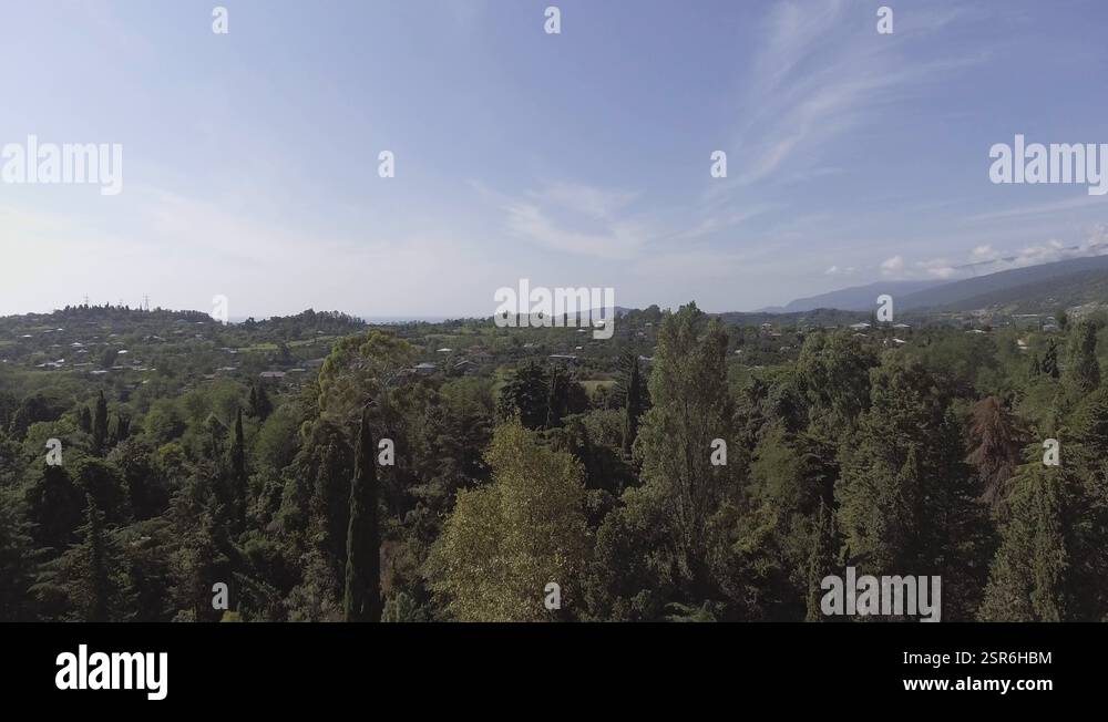 Drone camera view of of nice valley with trees, bushes and green hills ...