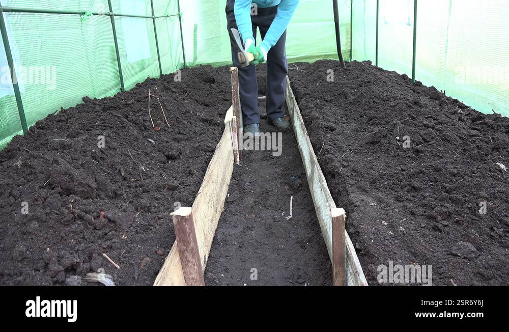 gardener farmer make path in greenhouse. 4K UHD video clip Stock Video ...