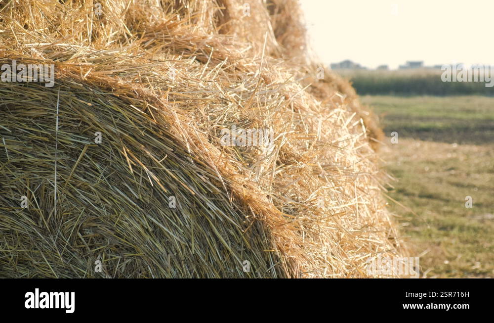 A stack of hay shot. Countryside haystack. Hayrick. Haymow footage ...