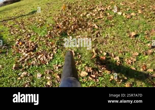 POV: Clearing the grassfield full of turning leaves with a large leaf ...