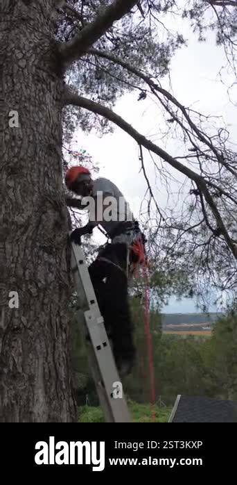 Skilled arborist Stock Videos & Footage - HD and 4K Video Clips - Alamy