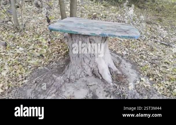 table from an old tree stump. New tree stump as a chair in the park ...