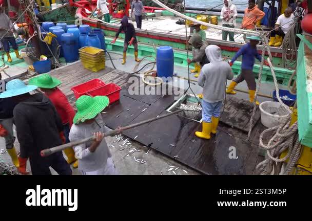 Kota Kinabalu, Malaysia - february 18, 2020 : Malaysian fishermen load freshly caught fish from ...