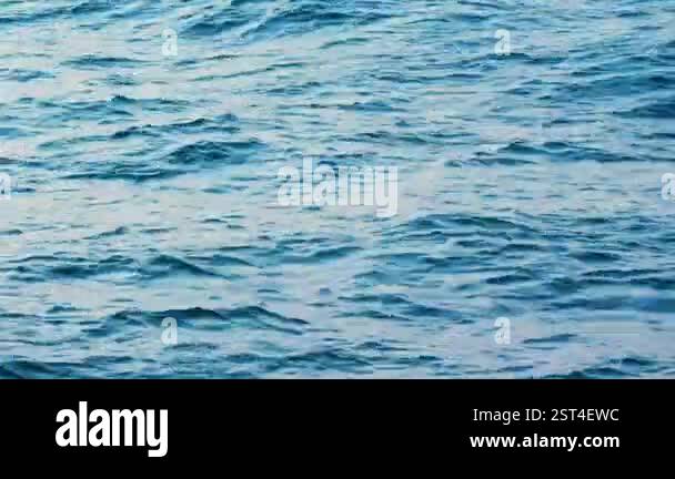 Pure Water Macro: A Close-Up Study of Crystal-Clear Liquid Stock Video ...