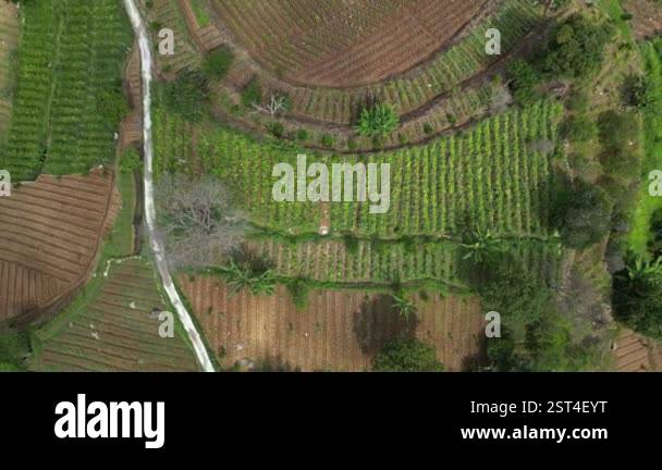 Traditional farmland Stock Videos & Footage - HD and 4K Video Clips - Alamy
