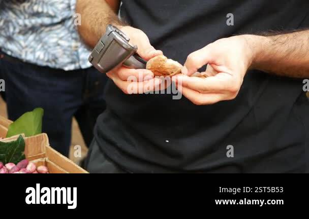 Person cracking a walnut with a nutcracker Stock Video Footage - Alamy