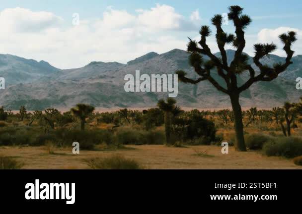 Dynamic overlays Stock Videos & Footage - HD and 4K Video Clips - Alamy