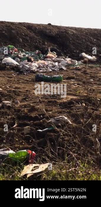 Near the city, large piles and heaps of garbage thrown away carelessly ...