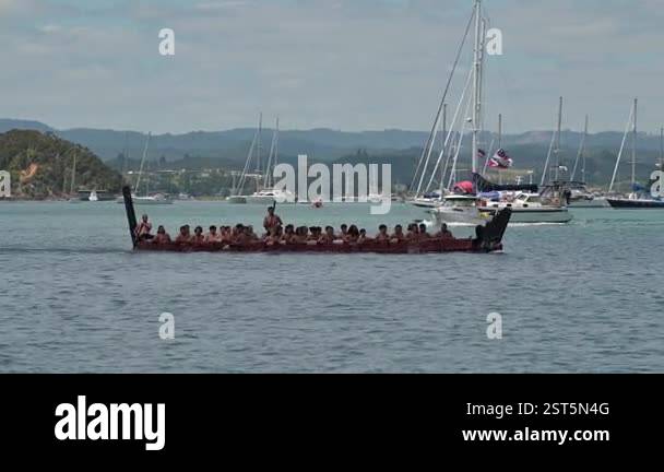 WAITANGI, NZL - FEB 06 2025:Maori male warriors rows a war canoe on on ...