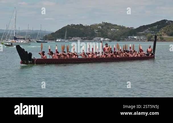 WAITANGI, NZL - FEB 06 2025:Maori male warriors rows a war canoe on on ...