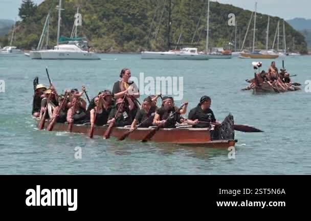 WAITANGI, NZL - FEB 06 2025:Maori female warriors rows a war canoe on ...