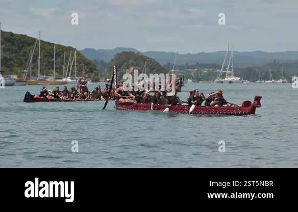 WAITANGI, NZL - FEB 06 2025:Maori female warriors rows a war canoe on ...