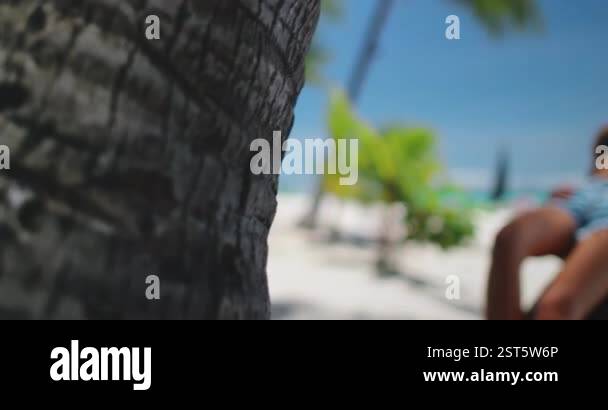 Woman leaning against palm tree Stock Videos & Footage - HD and 4K ...