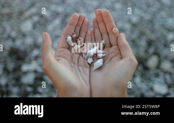 A person is shown with their hands held in front of them, adorned with ...