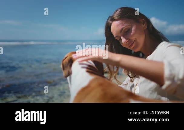 Seated dogs Stock Videos & Footage - HD and 4K Video Clips - Alamy