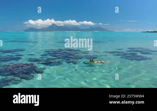 Offering freedom Stock Videos & Footage - HD and 4K Video Clips - Alamy