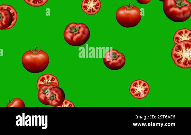 Falling tomatoes motion graphics with green screen background Stock ...