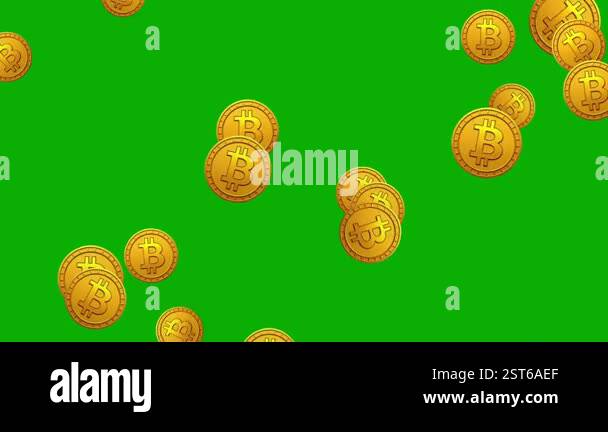 Falling golden bitcoins motion graphics with green screen background ...