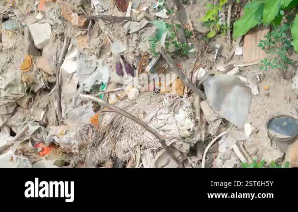 wild garbage dump. residual glass, plastics in the forest Stock Video ...