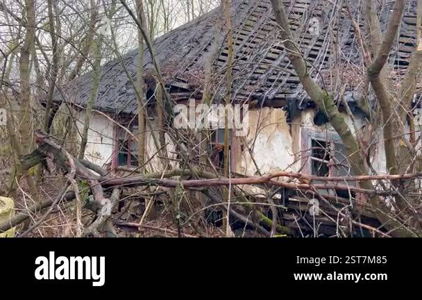 An abandoned, dilapidated house surrounded by leafless trees and overgrown branches. The ...