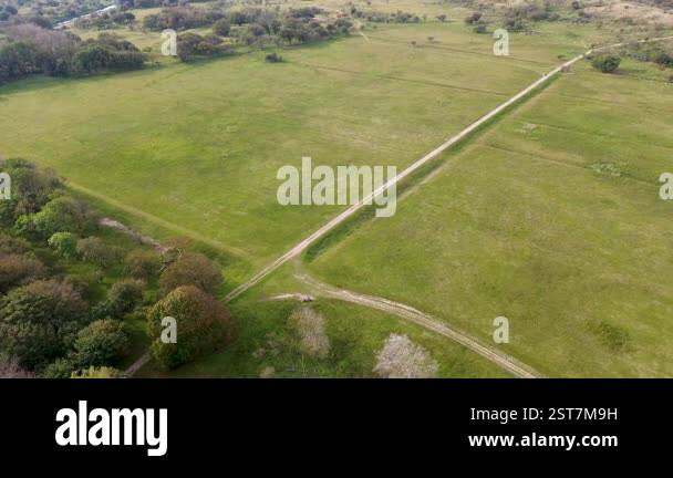 An aerial view of a vast green field with scattered trees, intersected by dirt paths winding ...
