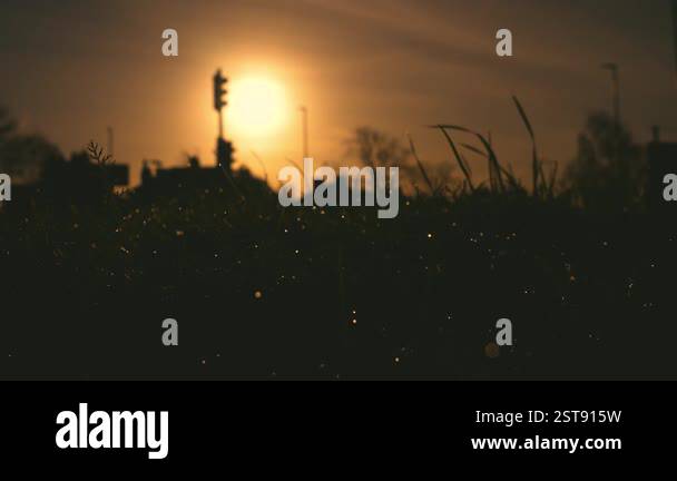 Silhouetting car and traffic light against rising sun. Faint light ...