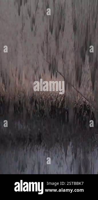 Raindrops flow down a dark surface, forming a streaming water effect in ...