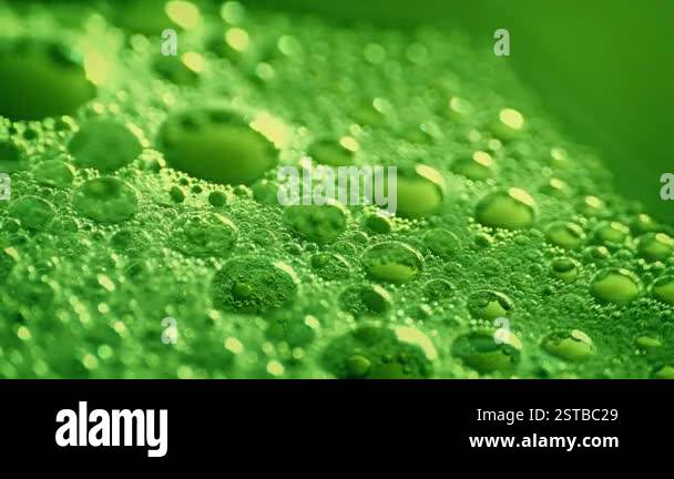 Toxic Waste Bubbles Washing Away Closeup Stock Video Footage - Alamy