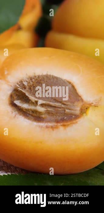 Ripe raw apricots on green leaves. Ripe and healthy fruit food concept ...