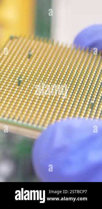 Engineers hand in blue gloves holds processor sample at technology ...
