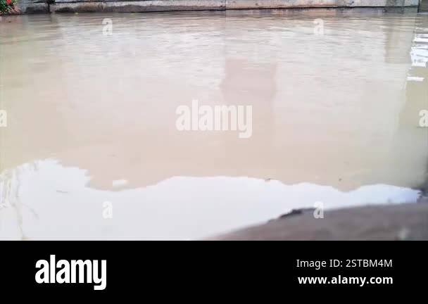 A pool of flood water rippling with a murky white color with ...