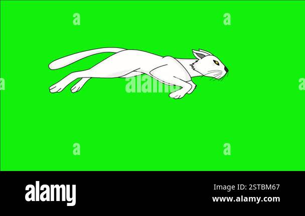 A captivating animation of an white cat running in a repetitive motion ...