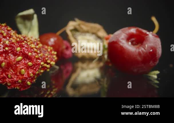 Withered natural fruits Stock Videos & Footage - HD and 4K Video Clips ...