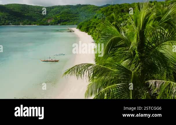 Sandy beach bordered by palm trees and turquoise ocean waves. Tiamban ...