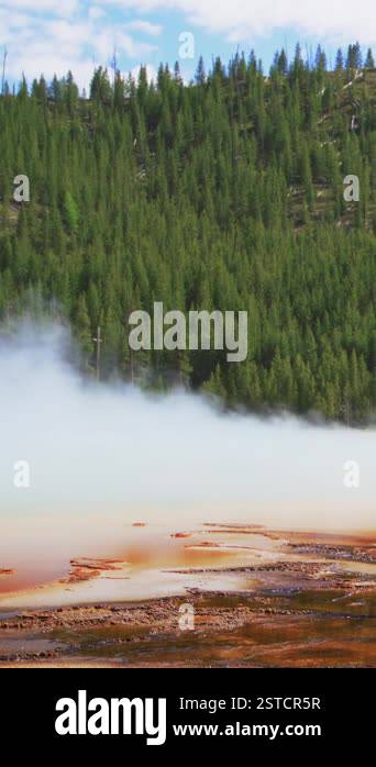 A breathtaking view from Yellowstone National Park showcases lush green ...