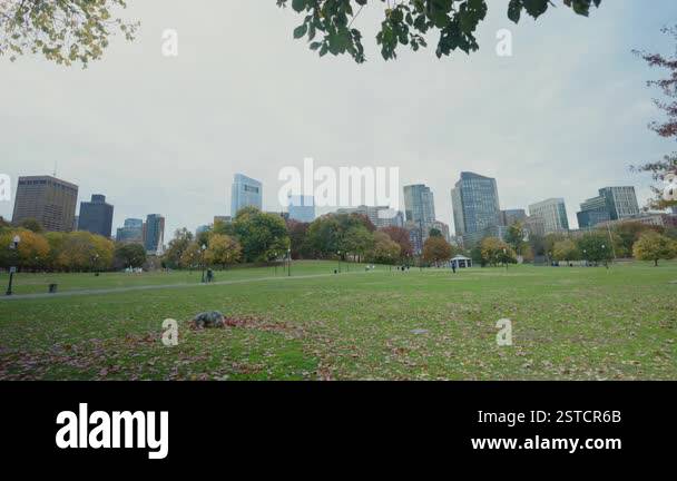 Serene urban park in Boston Massachusetts features lush grass and ...