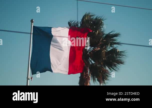 Iconic french tree Stock Videos & Footage - HD and 4K Video Clips - Alamy