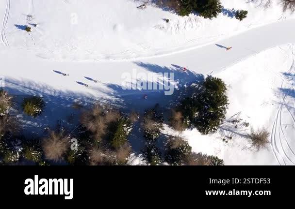 Aerial drone view of a ski resort in Col dei Baldi, Alleghe, in the ...