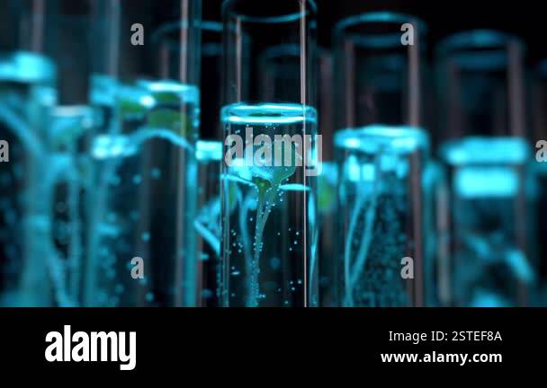 Samples of green plants in test tubes in the laboratory. Food Science ...