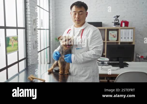 A young male vet holding a pet dog in a modern veterinary clinic ...