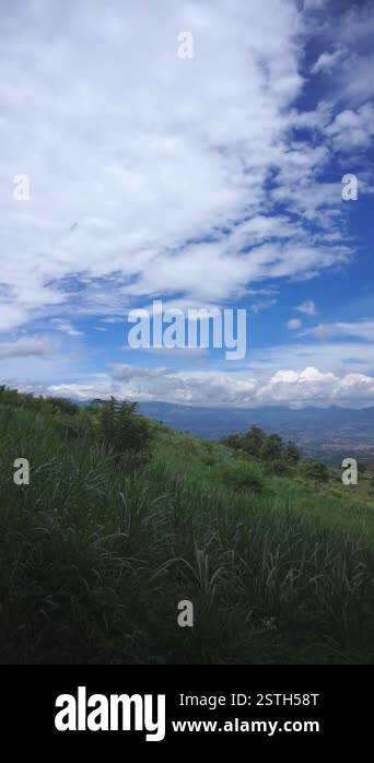 beautiful vertical video portrait natural views of green mountains ...