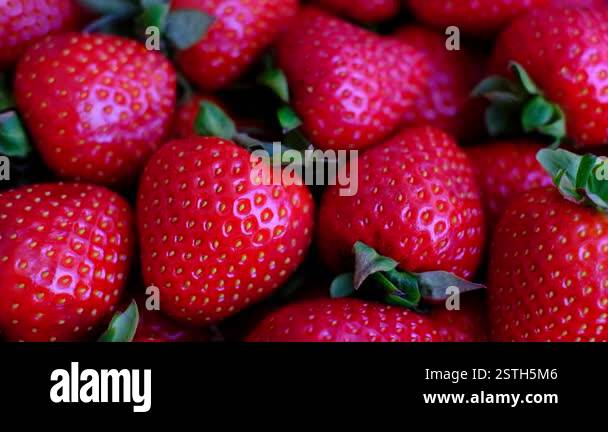 A bunch of red strawberries are shown in close up. The strawberries are ...