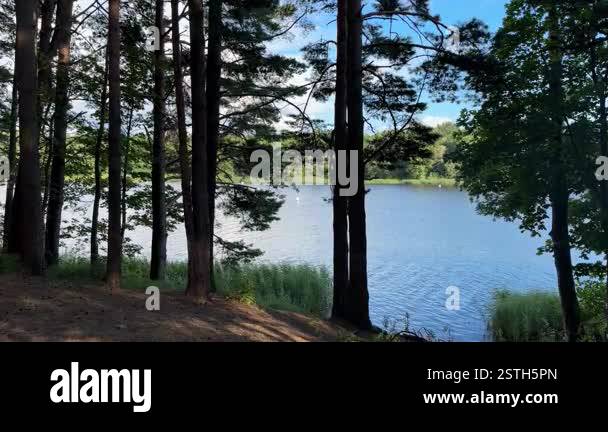 A beautiful lake surrounded by trees. The water is calm and the sky is ...