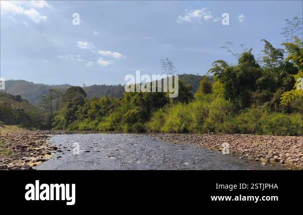 Horizontal trees rocks scenery horizontal Stock Videos & Footage - HD ...