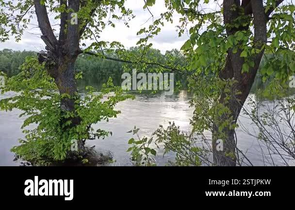 Fast river flowing during spring flood. Seasonal flood of river ...