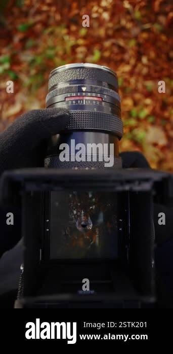 Captured from a first-person view, a photographer explores the outdoors ...