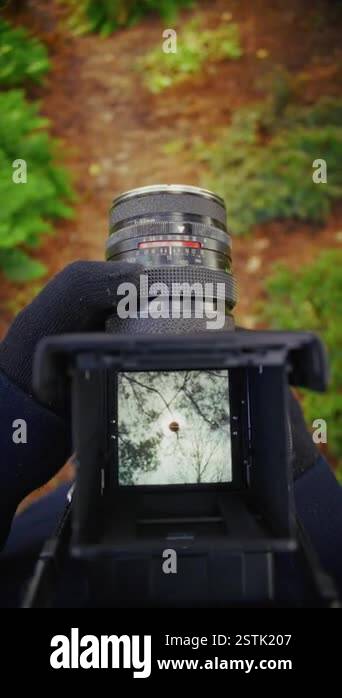 Captured from a first-person perspective, a photographer strolls ...